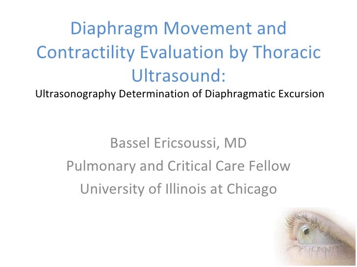Diaphragm Movement And Contractility Evaluation By Thoracic Ultrasound