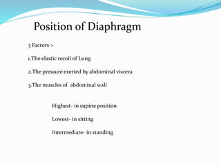 Diaphragm | PPTX