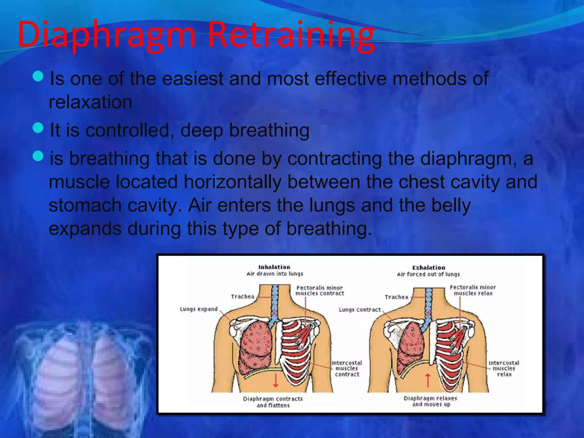 Diaphragm retraining & breathing exercises [recovered] | PPT
