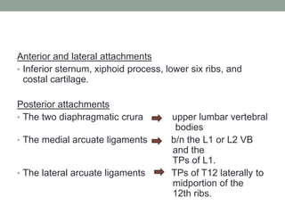 Imaging of Diaphragmatic rupture | PPTX