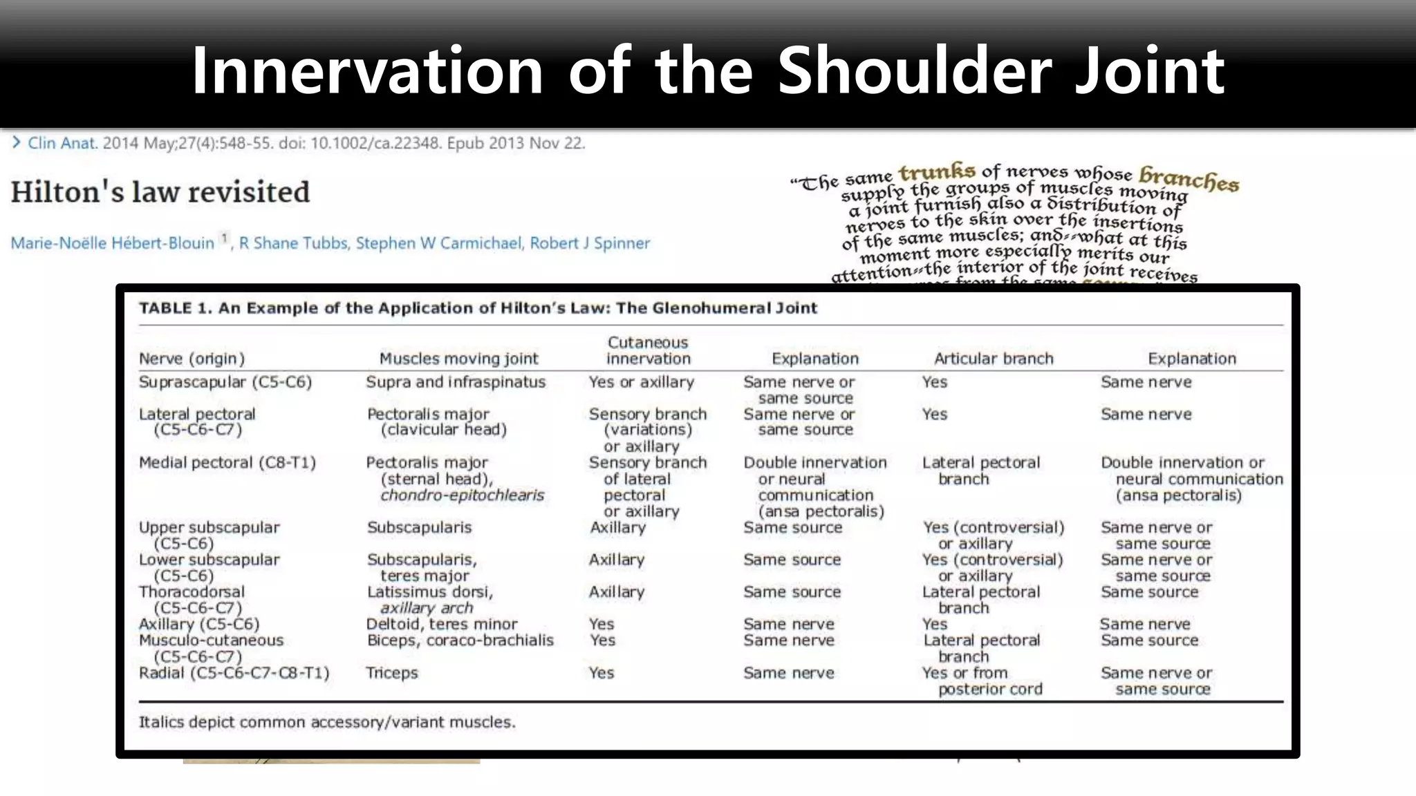 Diaphragm sparing nerve blocks for shoulder surgery | PPTX