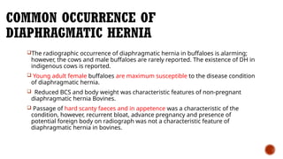 DIAPHRAGMATIC HERNIA IN LARGE ANIMALS.pptx