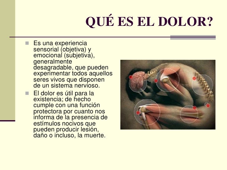 CAPÍTULO 48 – 49 – Blog de David Montesinos 1ero B