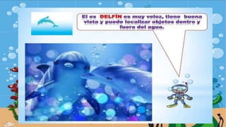 Diapo animales que viven el el agua | PPTX