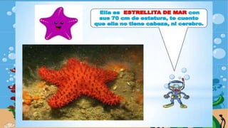 Diapo animales que viven el el agua | PPTX
