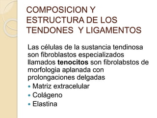 Biomecanica de los tendones y ligamentos | PPTX