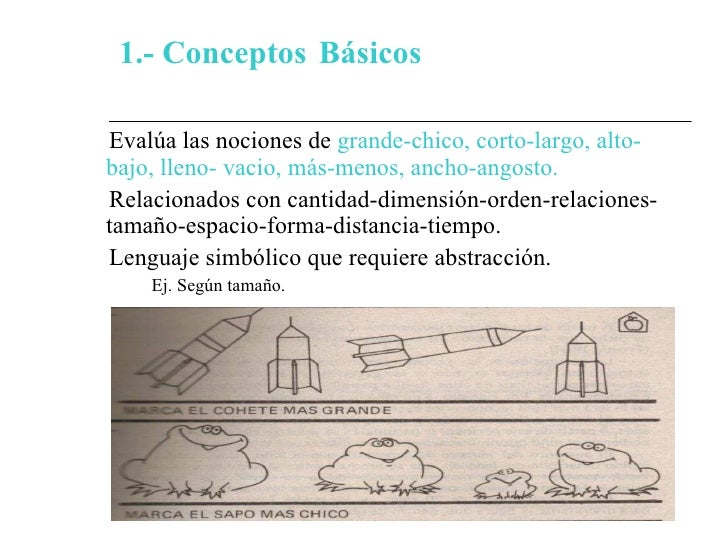 Nocion ancho y angosto - Imagui