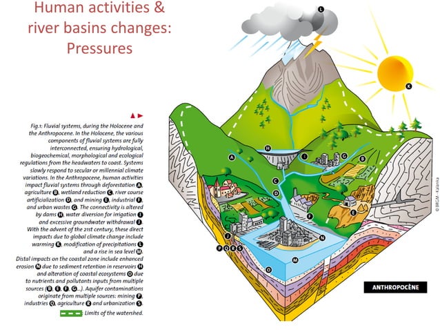 Pressures, impacts and risk on surface water. Concept and examples | PPT