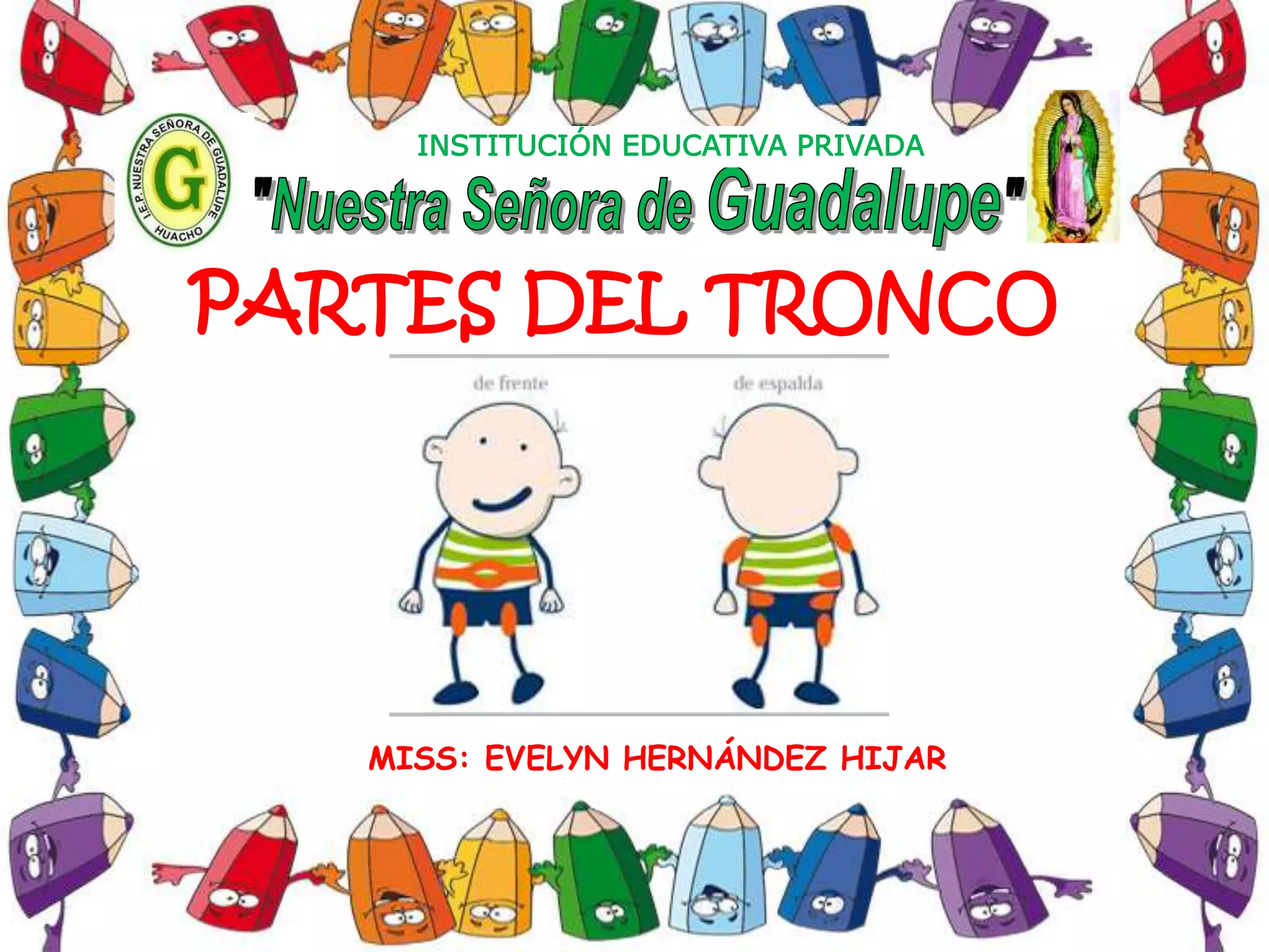 Diapo partes del tronco | PPTX