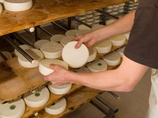 Diapo presentation aoc | PPT