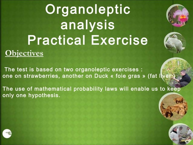 Diaporama Organoleptic analysis | PPT