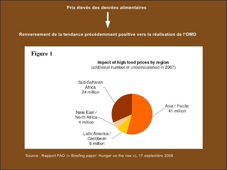 La Crise Alimentaire Mondiale