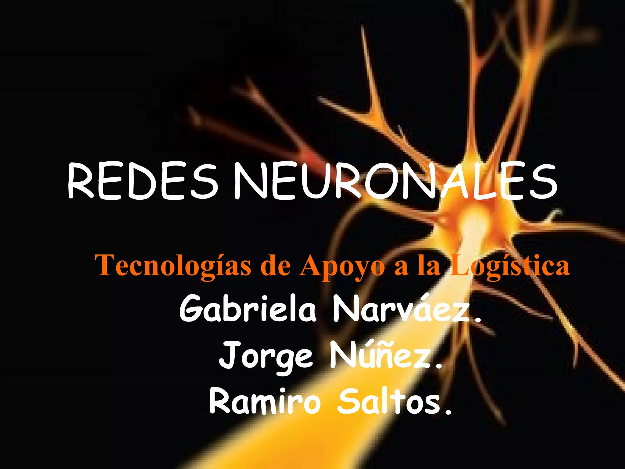 Neuronales Training