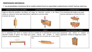 ESTRUCTURA Y PROPIEDADES DE MADERA EN VIVIENDA | PPT