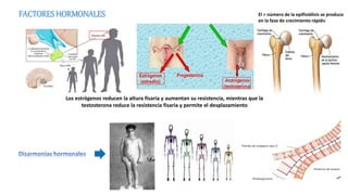Epifisiolisis femoral | PPTX