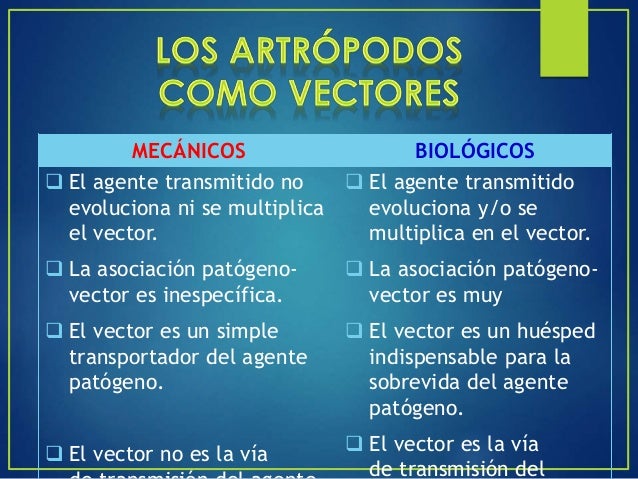 Que Es Un Vector Biologico Bolzano Untitled