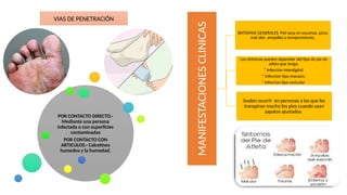 infeccion por dermatofitosis.dIapos, dermatofitos.pptx