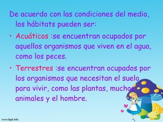 Adaptaciones en los seres vivos | PPT