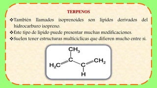 DIAPOSITIVA. LÍPIDOS INSAPONIFICABLES-2.pptx
