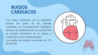 DIAPOSITIVA-ANATOMIA #3.pptx