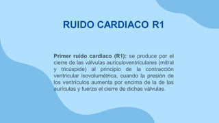 DIAPOSITIVA-ANATOMIA #3.pptx