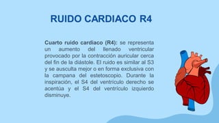DIAPOSITIVA-ANATOMIA #3.pptx