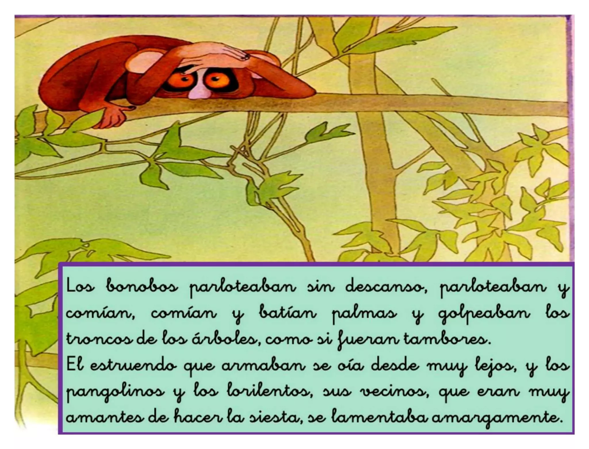 Historia de los bonobos con gafas | PPTX