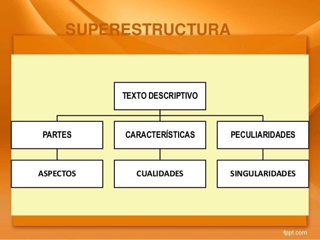 Lengua 6o Tema 2 Los Textos Descriptivos Images