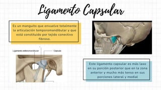 Diapositiva Anatomía Topografica GRUPO#1 (1).pptx
