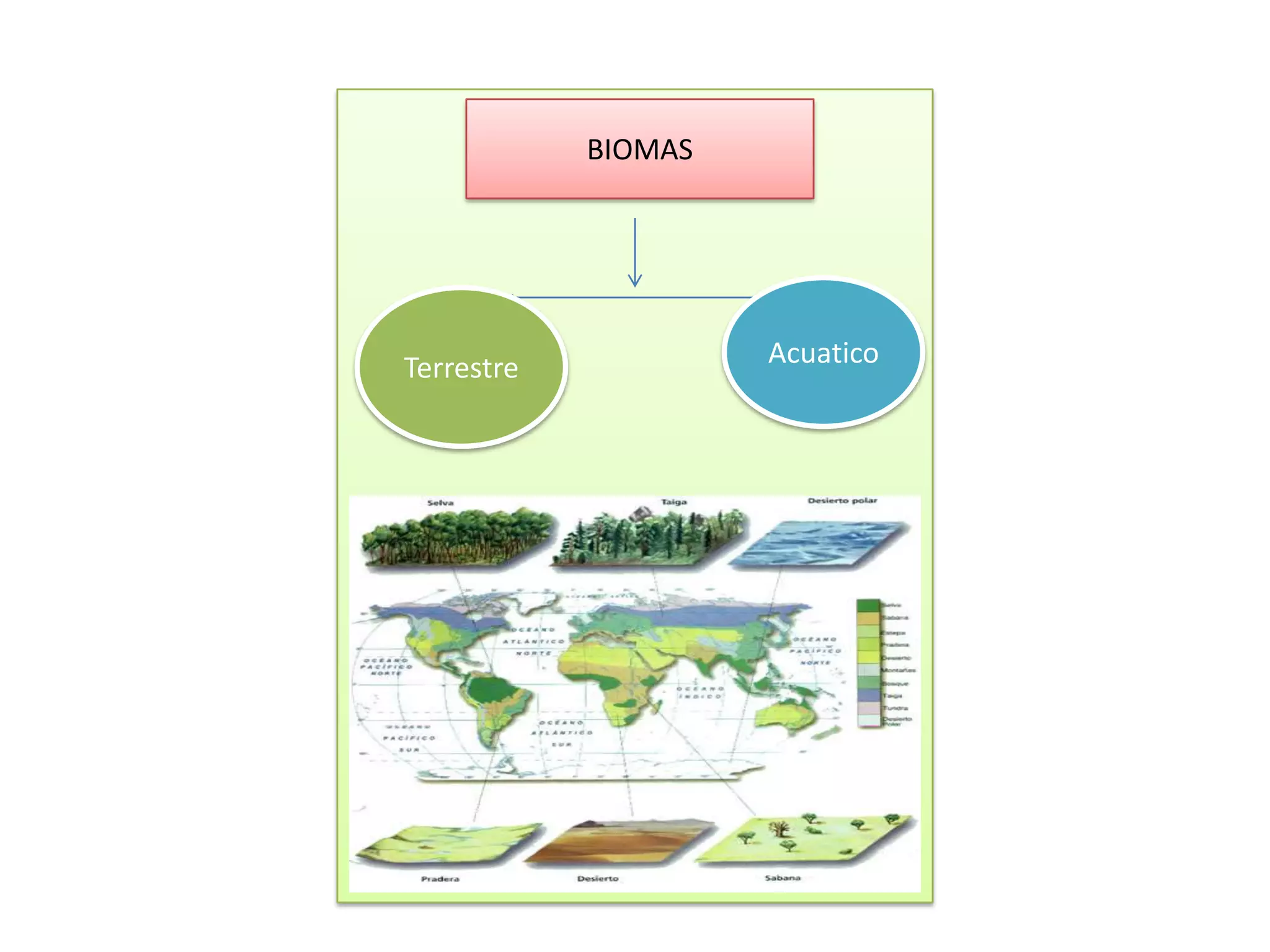 Diapositiva biomas | PPTX