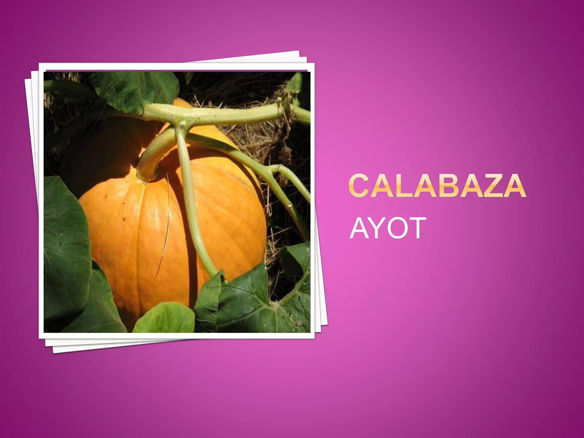 Diapositiva de frutas y verduras | PPT