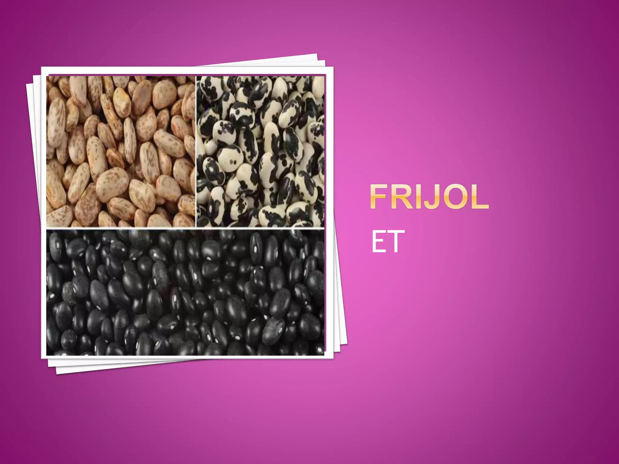 Diapositiva de frutas y verduras | PPT