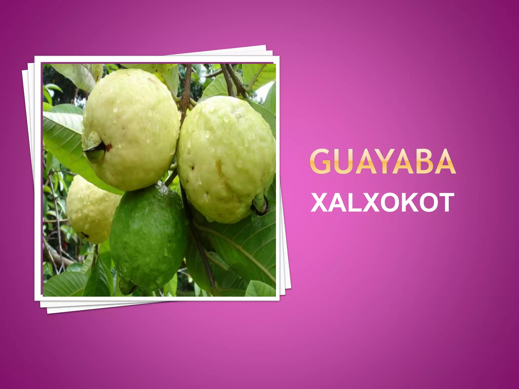 Diapositiva de frutas y verduras | PPT