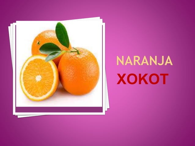 Diapositiva de frutas y verduras | PPT