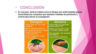 DIAPOSITIVA DE LA MALARIA...........pptx