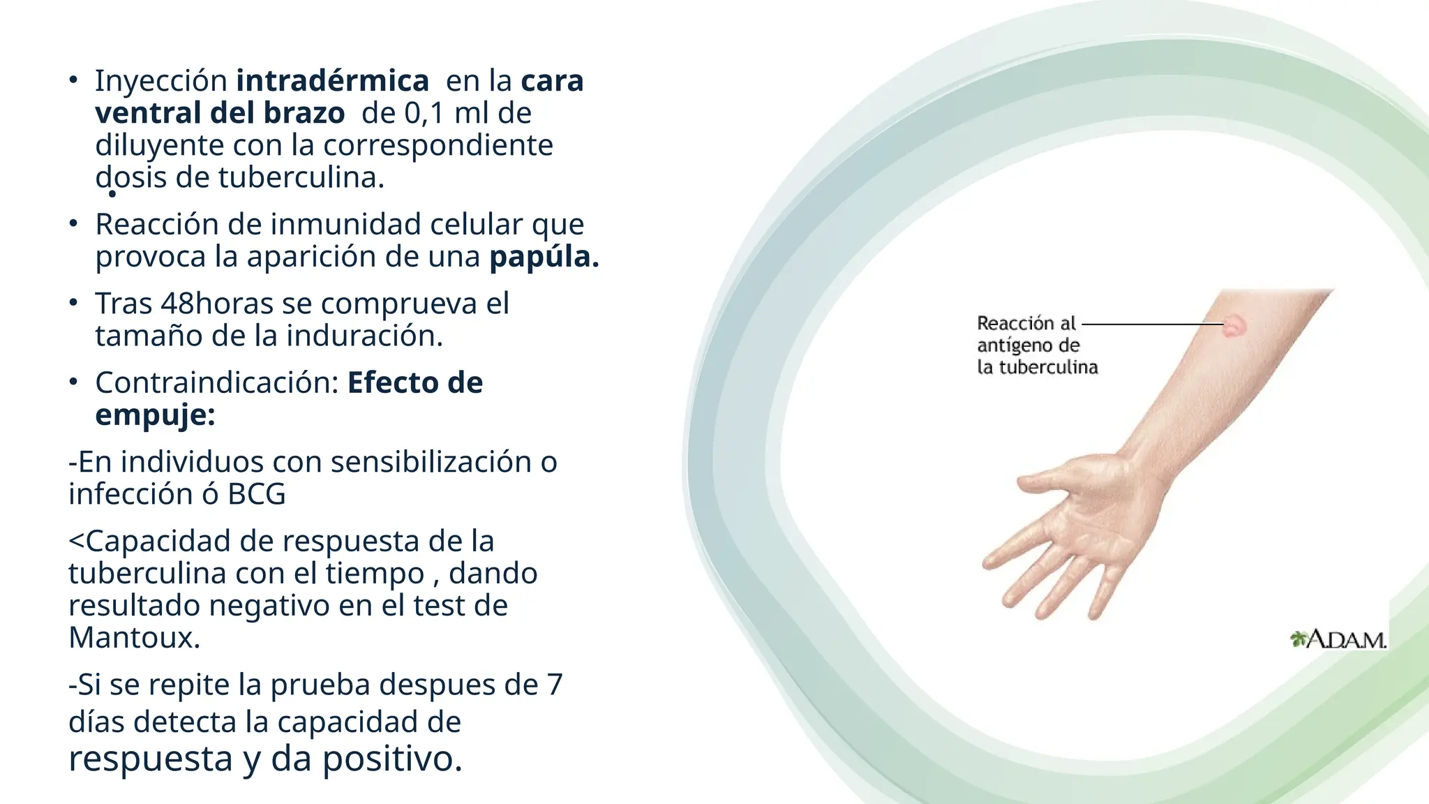 Diapositivade tuberculosis increiblemente bien (1).pptx