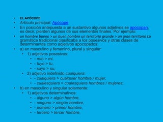 Diapositiva edith | PPTX