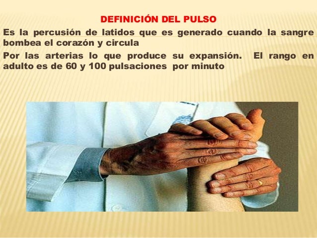 El Pulso - thepiratebaywinning