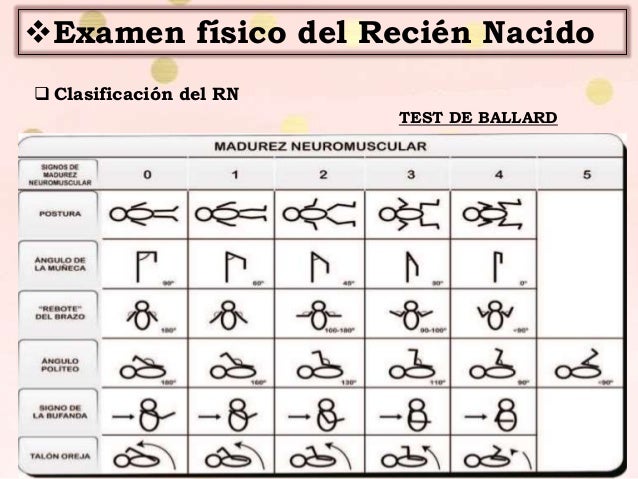 Examen físico del recién nacido