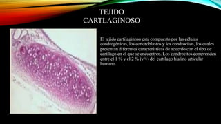 HISTOLOGIA GENERAL | PPTX