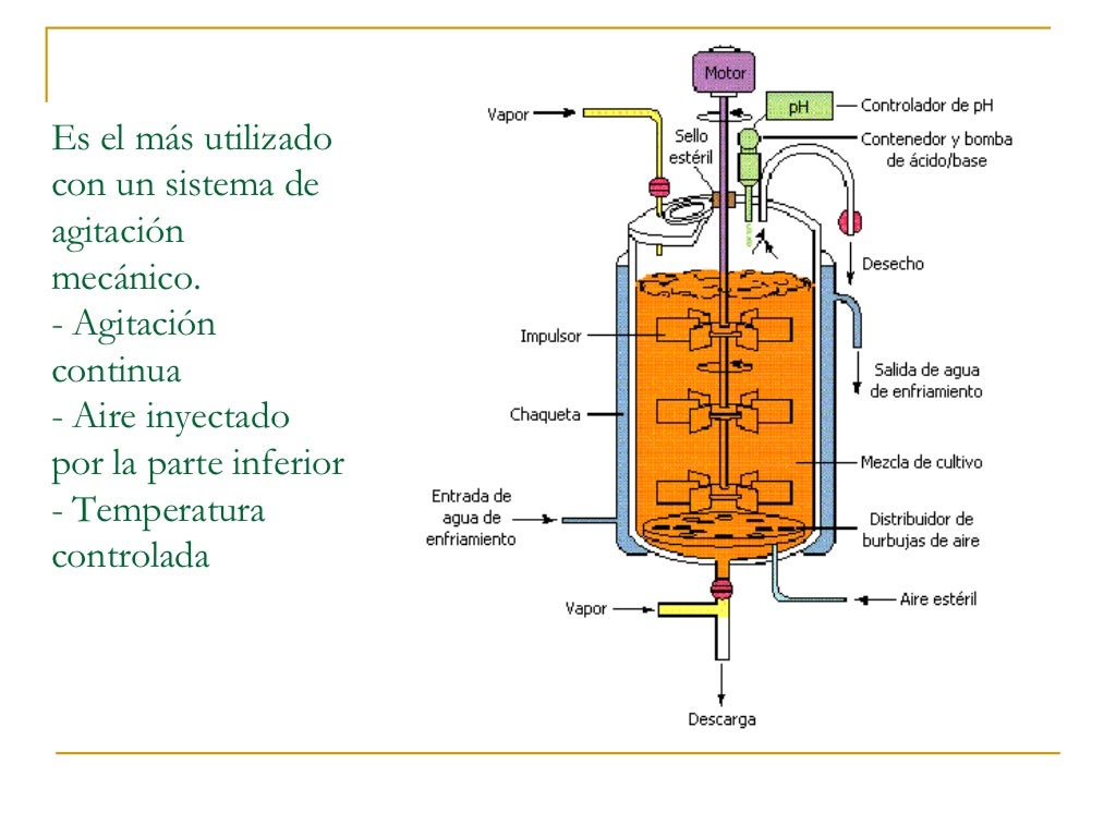 Diapositiva Reactores