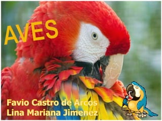 Aves | PPTX