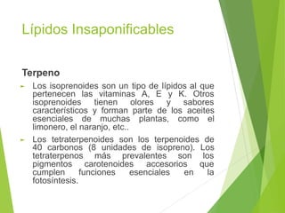 DIAPOSITIVA_LIPIDOS lipidos o grasas alimentos | PDF
