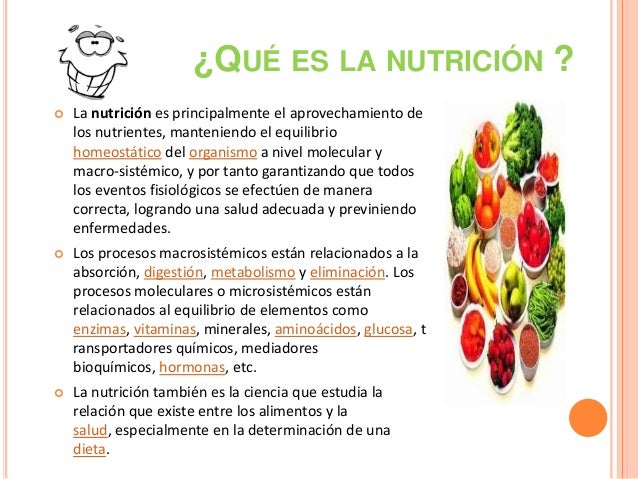 nutricion: QUE ES LA NUTRICION