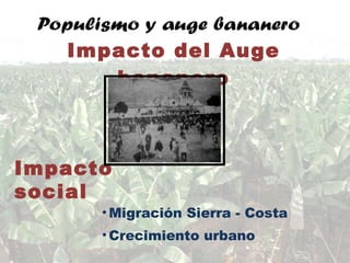 Populismo y Auge Bananero en Ecuador | PPT