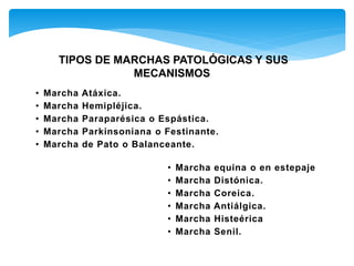 diapositiva posturas, marcha, actividades fisicas adaptadas.pdf