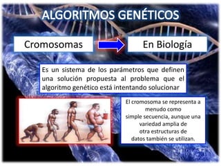 Algoritmo Genetico | PPTX