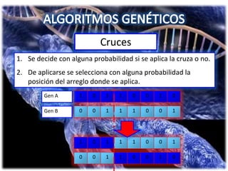 Algoritmo Genetico | PPTX