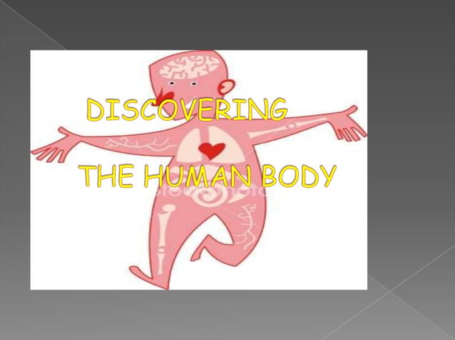 My body | PPT