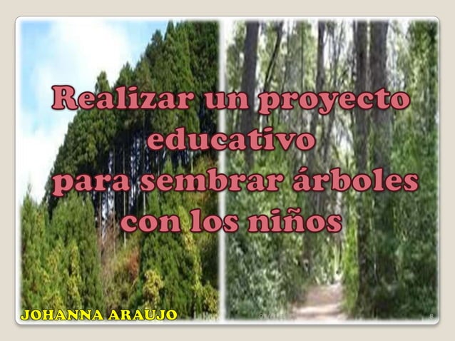 EL MEDIO AMBIENTE | PPT